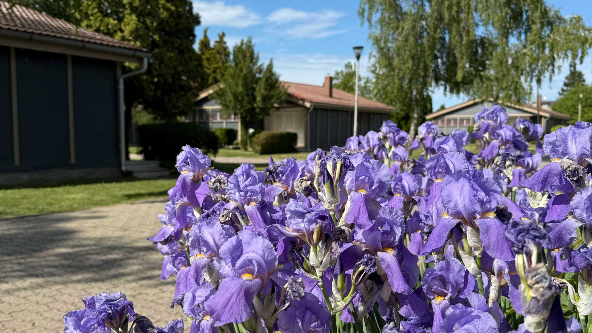 Frühling mit Balaton-Apartment-Erlebnissen | Aranypart Camping & Apartments